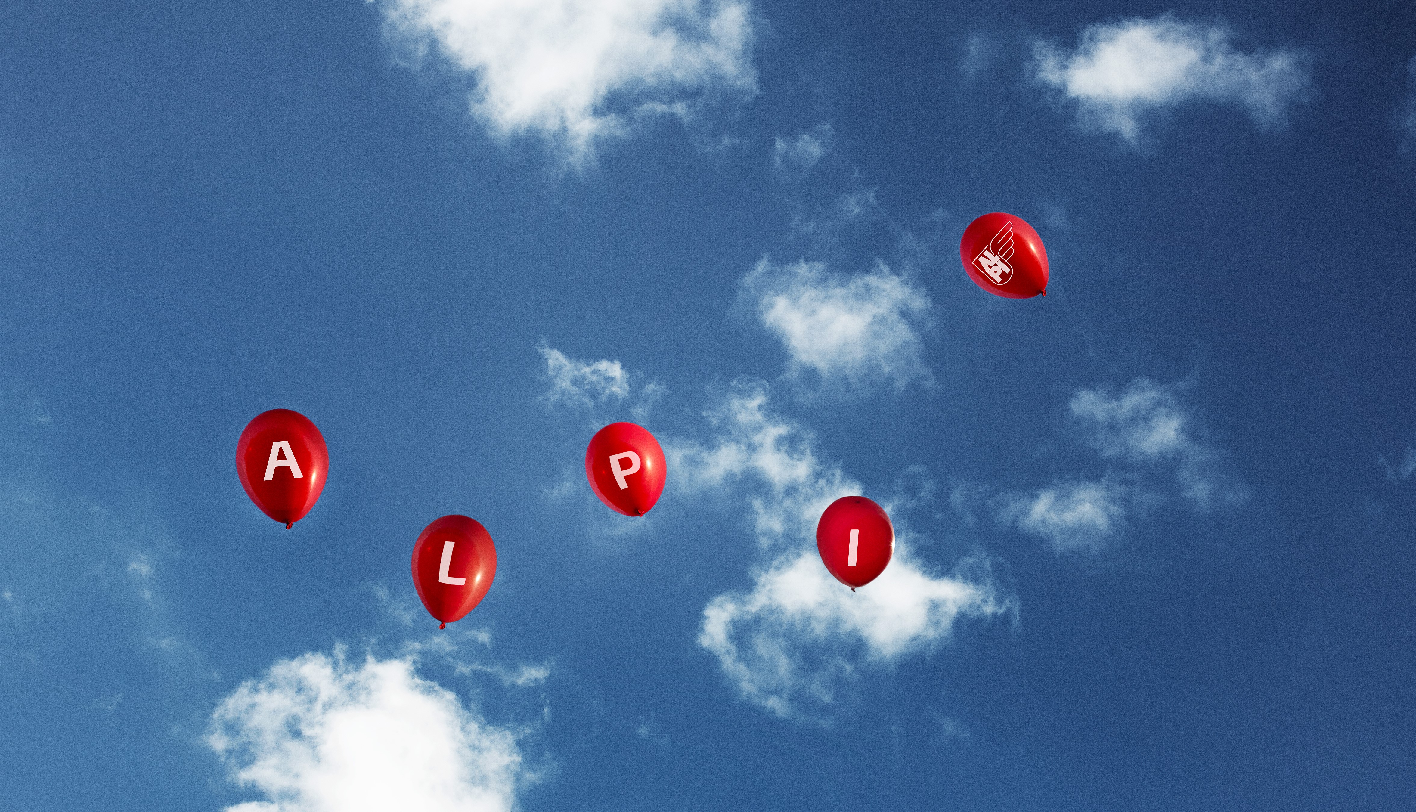 ALPI tilbyder full-service transport og logistik – worldwide.